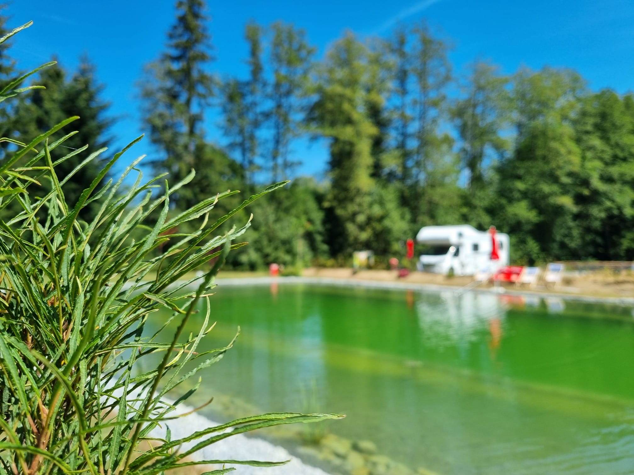Camping Resort Bayerwald - Camping Platz in Bayern im Bayerischen ...